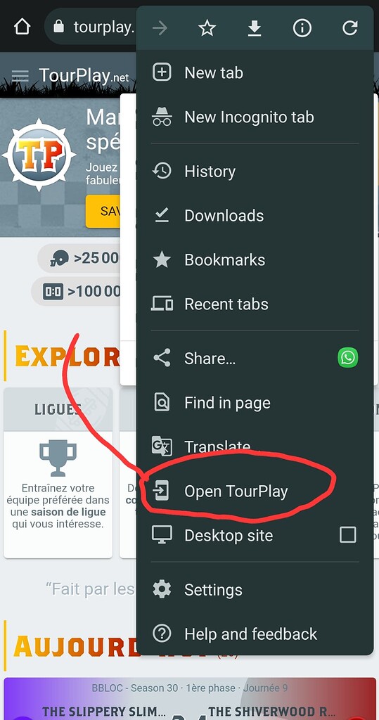 Assistance tourplay - Page 4 - Ligue du BN - Ligue Bloodbowl Nantais
